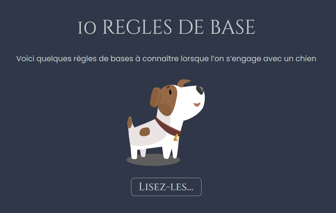 Les 10 régles de base pour éduquer son chien | Les Carrieres Noires